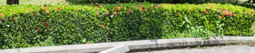 Quel type de bordures choisir pour le jardin ? - LeBlog